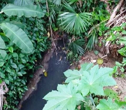 Moradores denunciam valeta de esgoto que prejudica as residências do ...