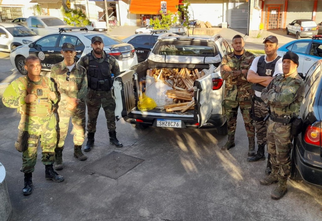 Ação da Polícia Civil e do Gema apreende quase meia tonelada de palmito ...